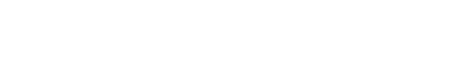 Child Aviation Restraint System (CARES) - AmSafe